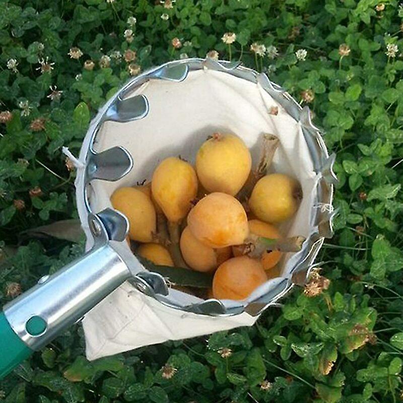 Fruit Picking Tool,Fruit Pickers Gardening Picking Tools Metal Fruit ...
