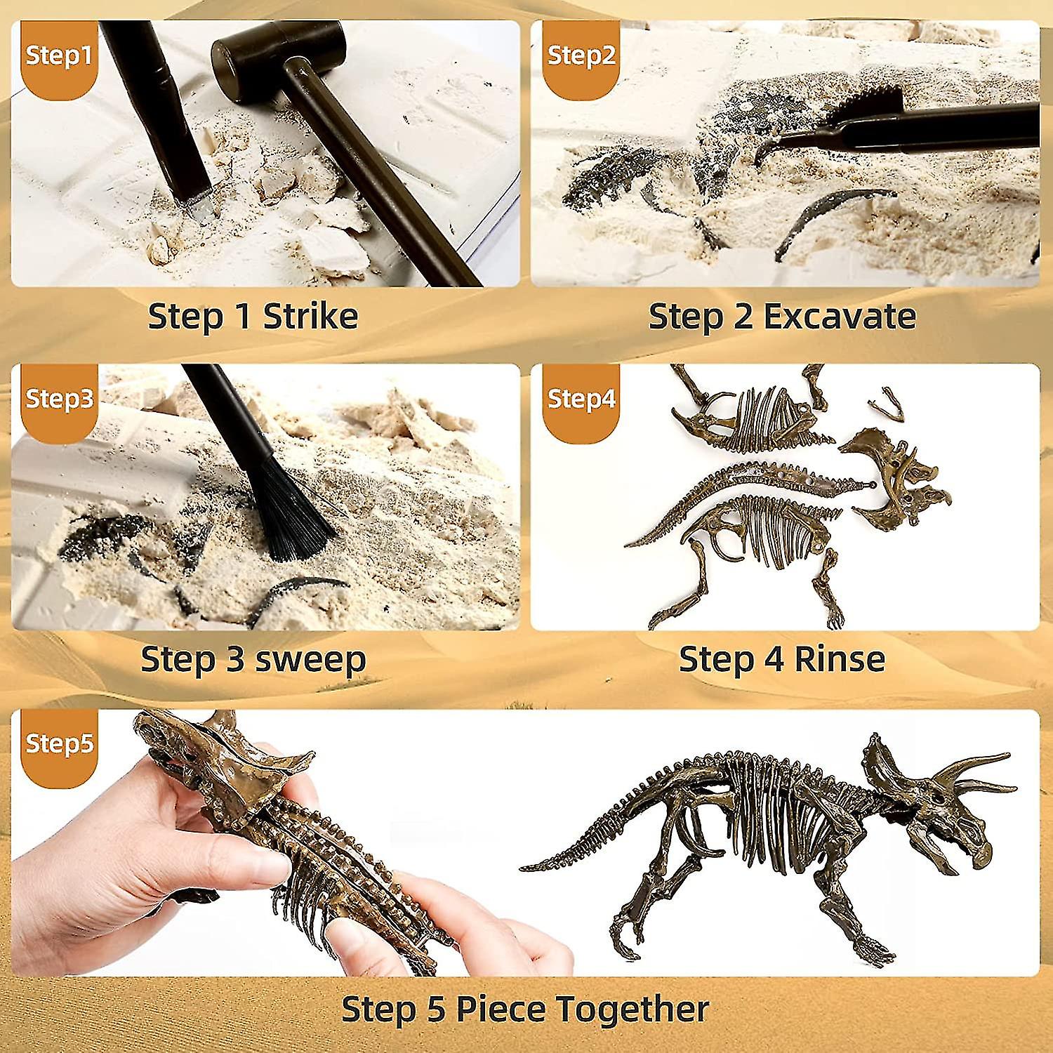 Paleontology Science Archaeological Dinosaur Fossils Toy Dinosaur ...