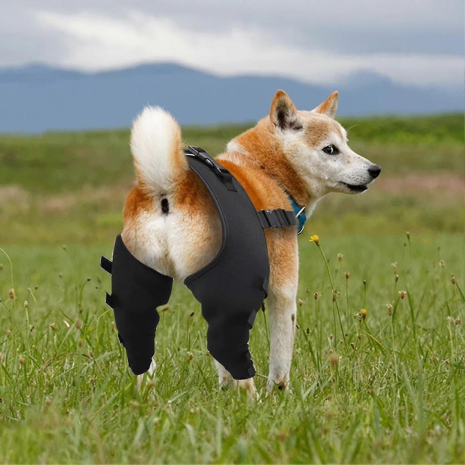 Dog Hip Brace | Adjustable Pet Dog Legs Protector Supporter | Knee ...