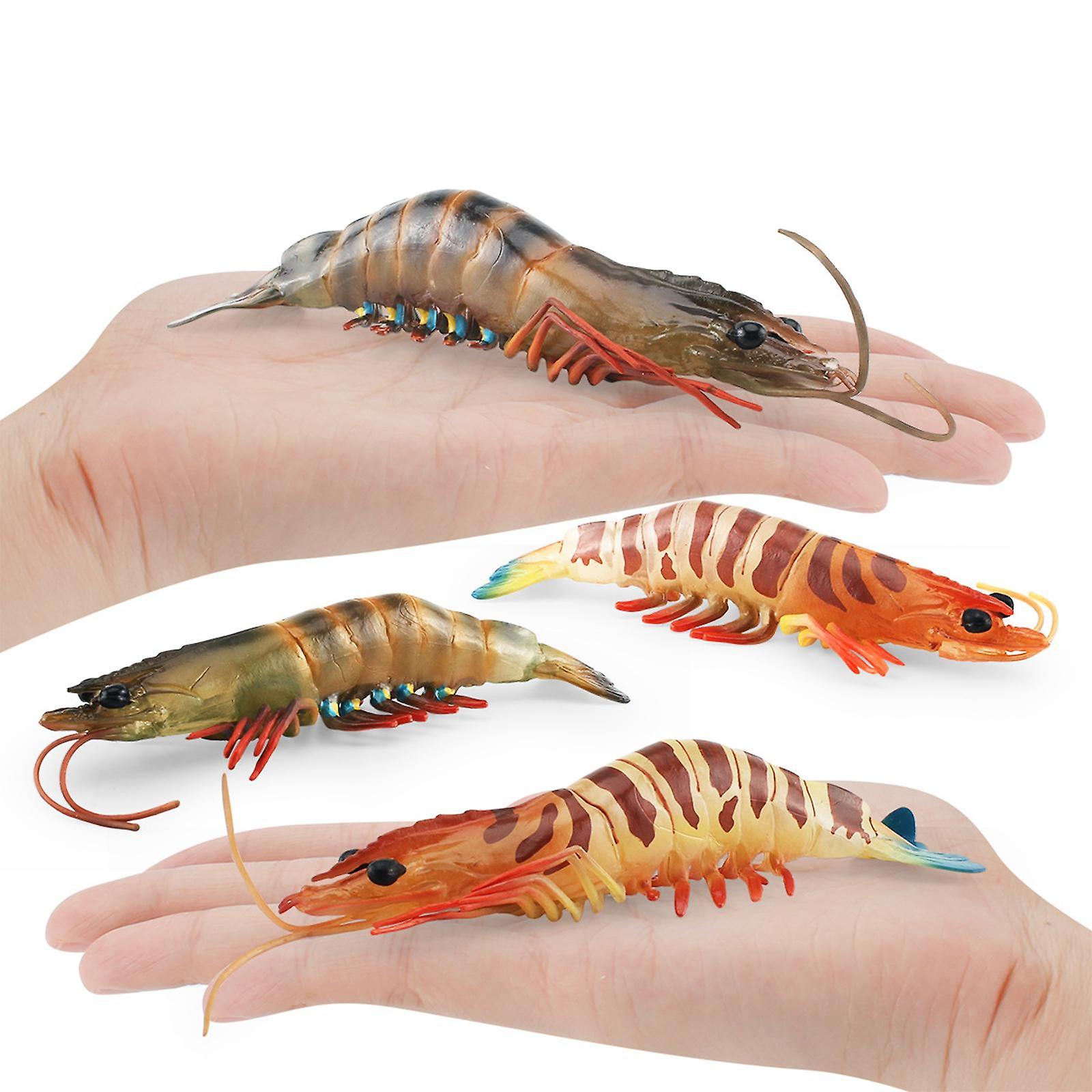 Realistic prawn Creatures Toy Figures Cognitive Early Learning for ...