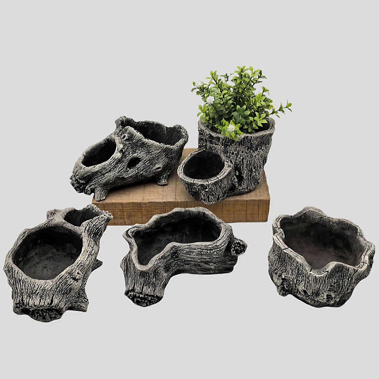 Decorative Cement Flower Pots with Natural Tree Root Aesthetic for ...