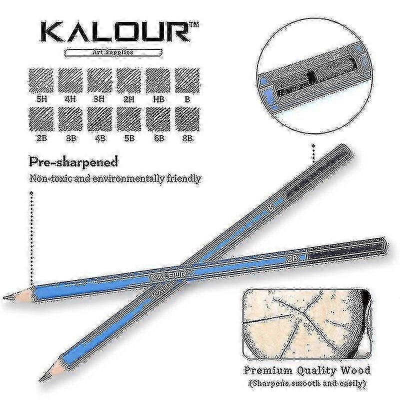 60-Piece Professional Sketch Set: 12 Graphite Pencils, Charcoal Sticks ...