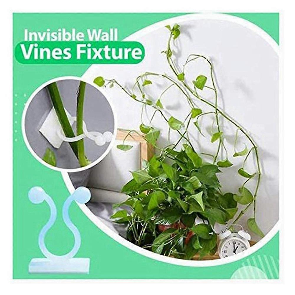 50PCS Invisible Wall Vines Fixture , Plant Climbing Wall Fixture Clips ...