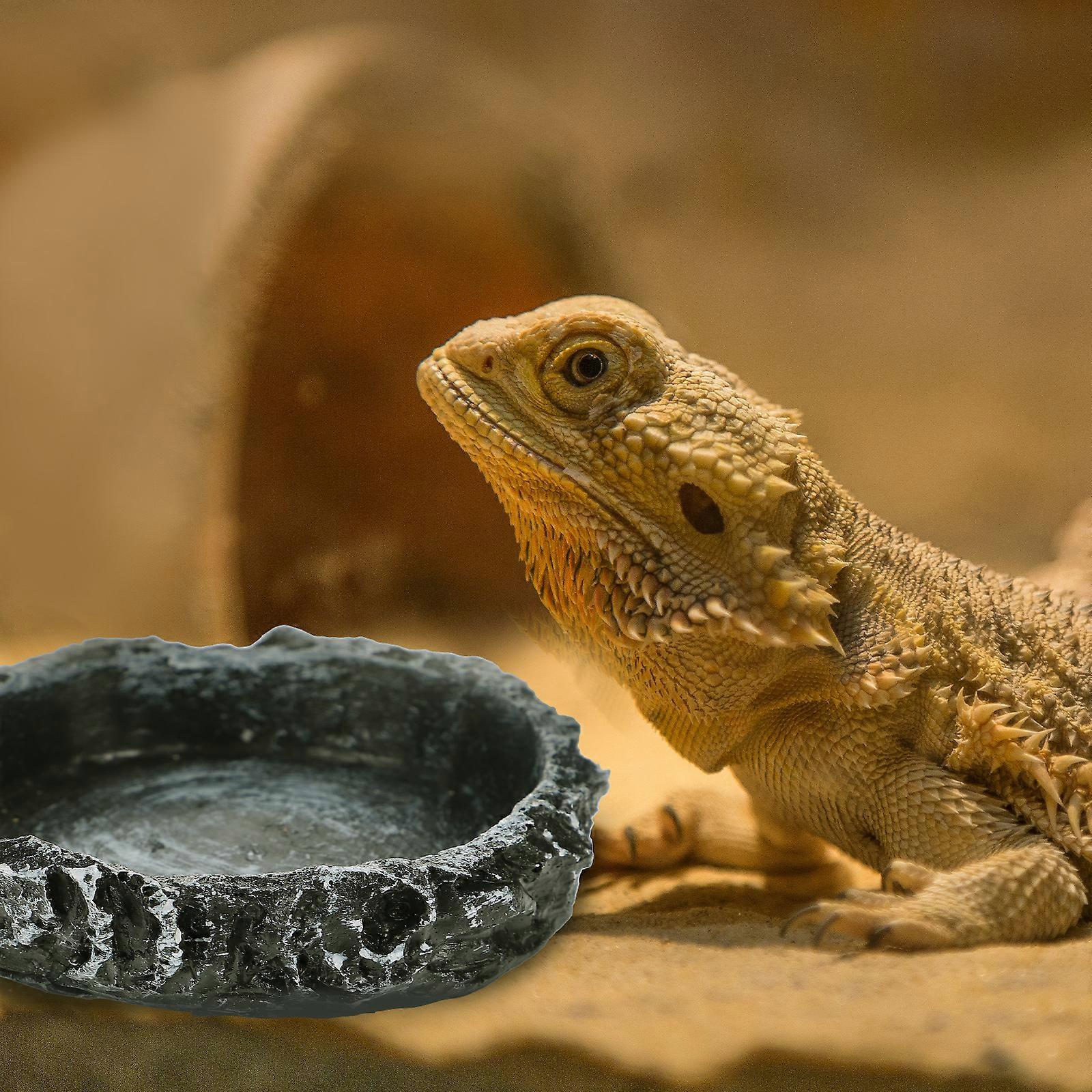 Terrarium Reptile Terrarium Water Bowls Terrarium Bowls Gecko Water ...