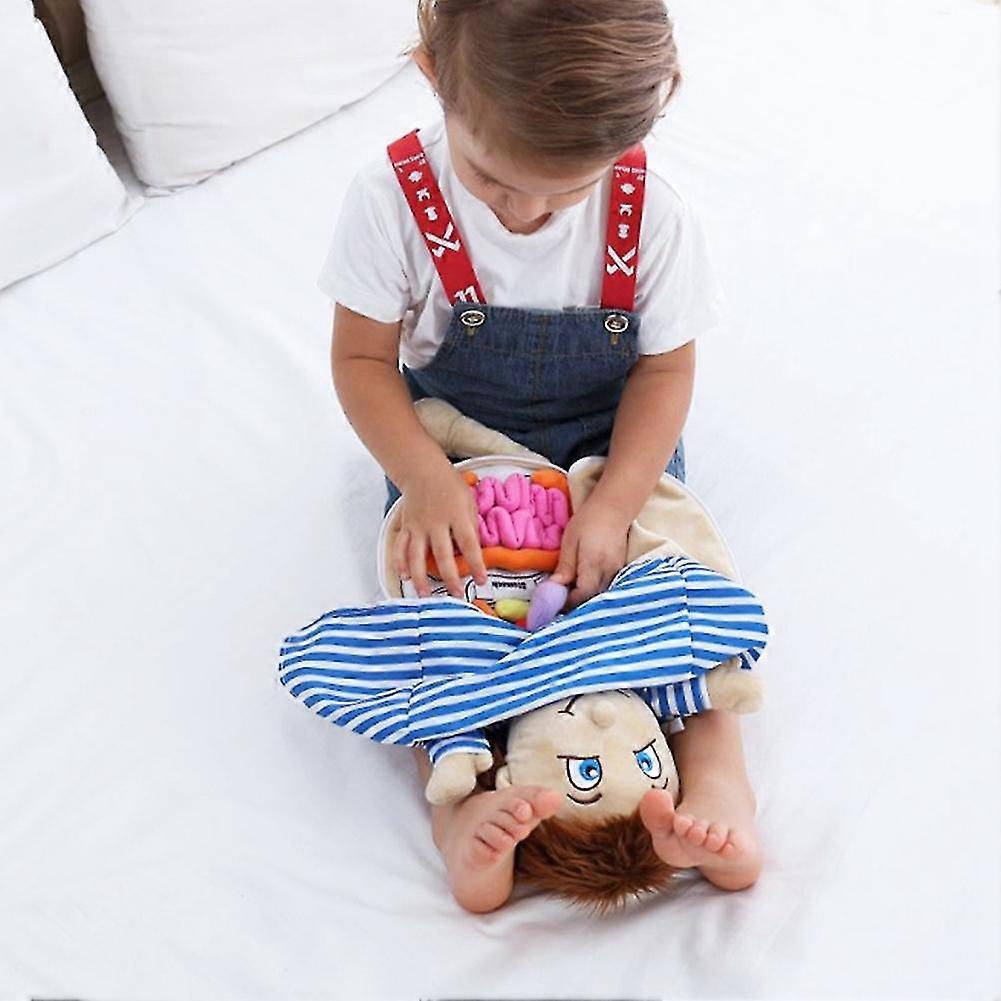 Kids Assembled Plush Body Organs Toy Human Body Anatomy Plush Doll ...
