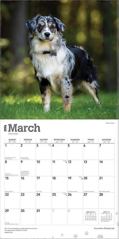 Browntrout Australian Shepherd Kalender 2026 | Fruugo US