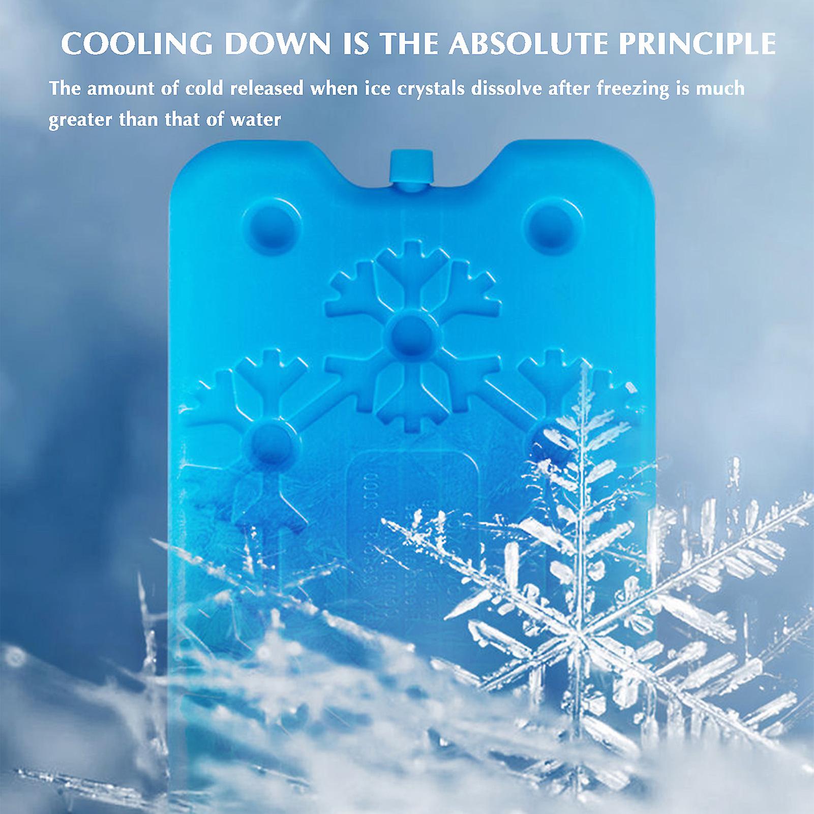 Reusable Ice Brick Ice Block Ice Pack Quick Freeze Ice Pack Box for ...