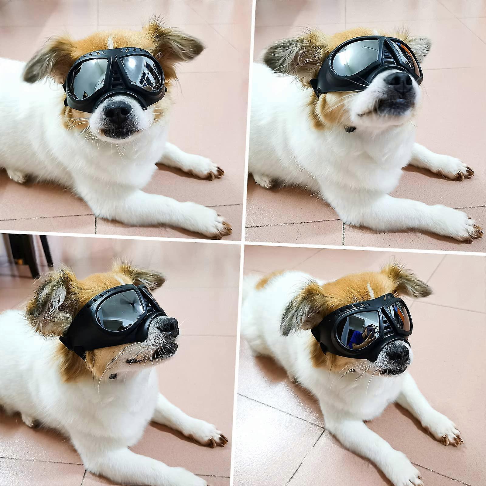 Dog Goggles Eye Protection Dog Sunglasses Anti-UV Goggles Windproof ...