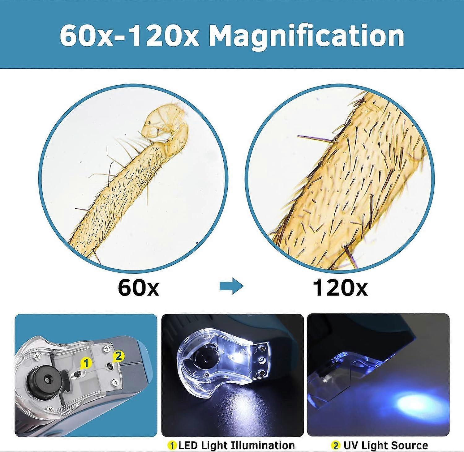 Pocket Microscope, 60x-120x Handheld Mini Microscope Kids with LED ...