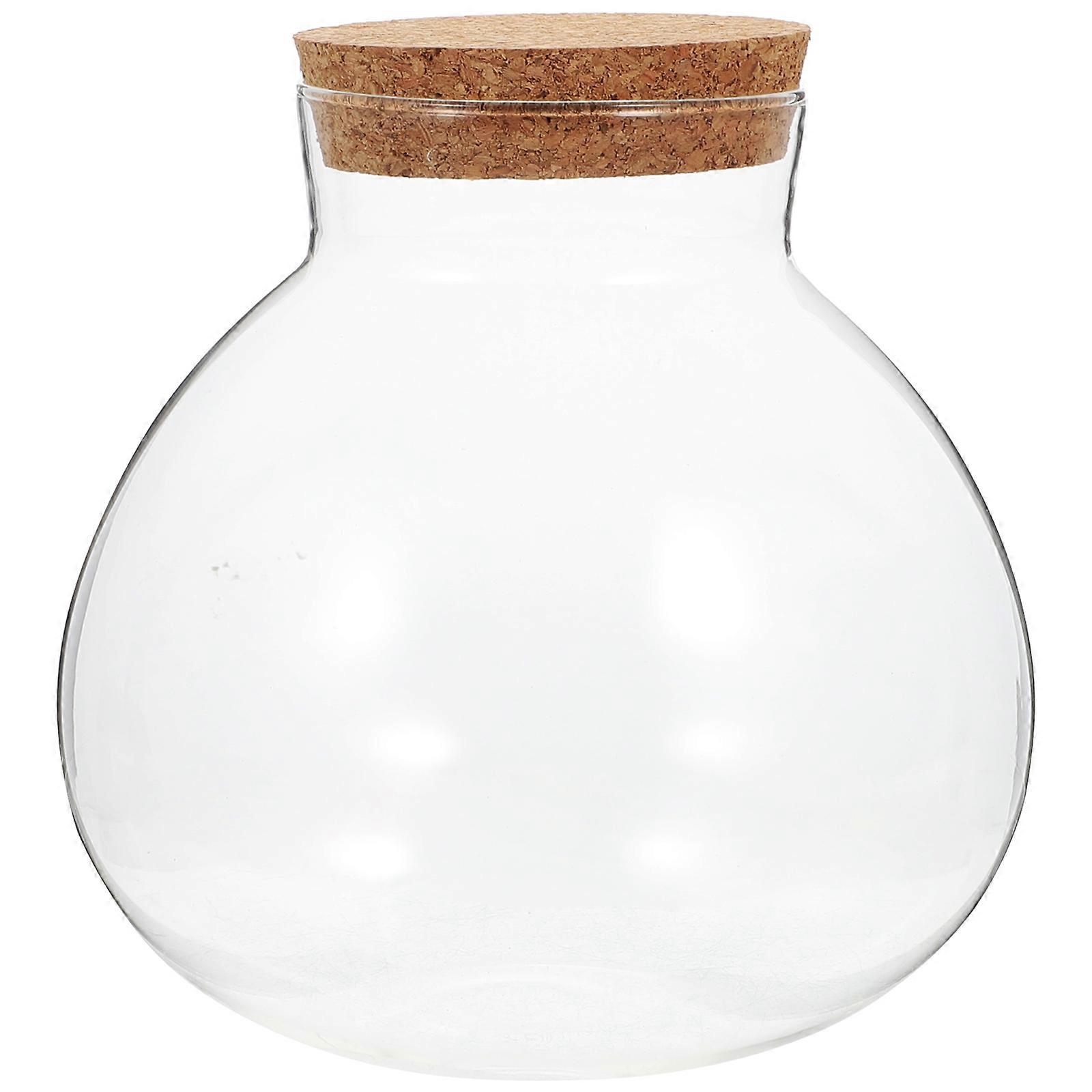 Round Glass Vase Glass Floral Vase Glass Plant Container Flower Vase ...