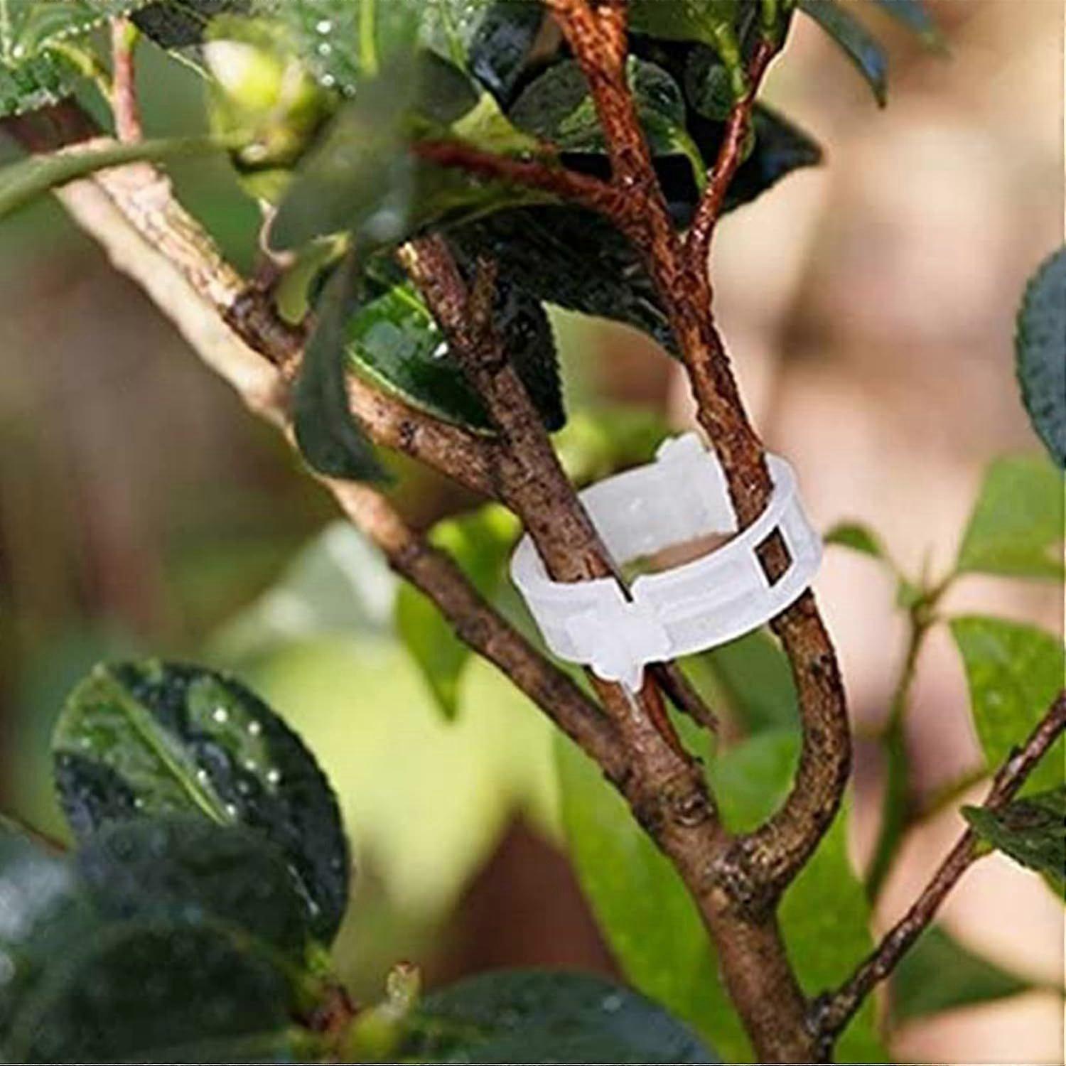 100PCS Plant Support Clips Tomato Clips Supports/Connects Plants/Twine ...