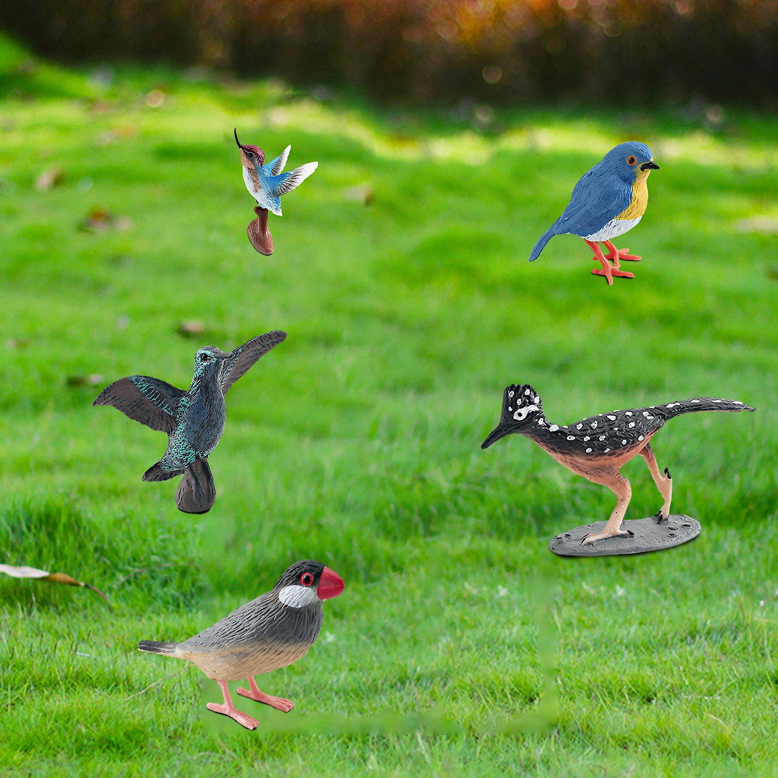 Realistic Bird Figurine Roadrunner Mannikin Hummingbird Robin Model ...