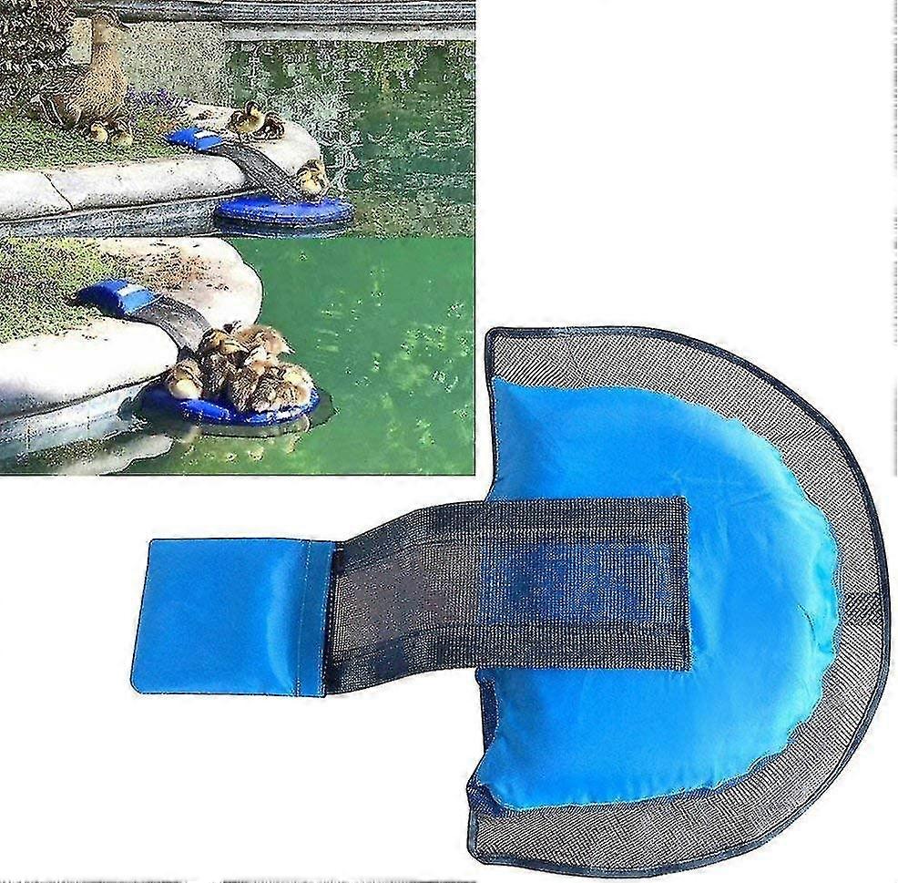 Pool Animal Rescue Escape Ramp, Small Animal Pool Escape Net, Pool ...