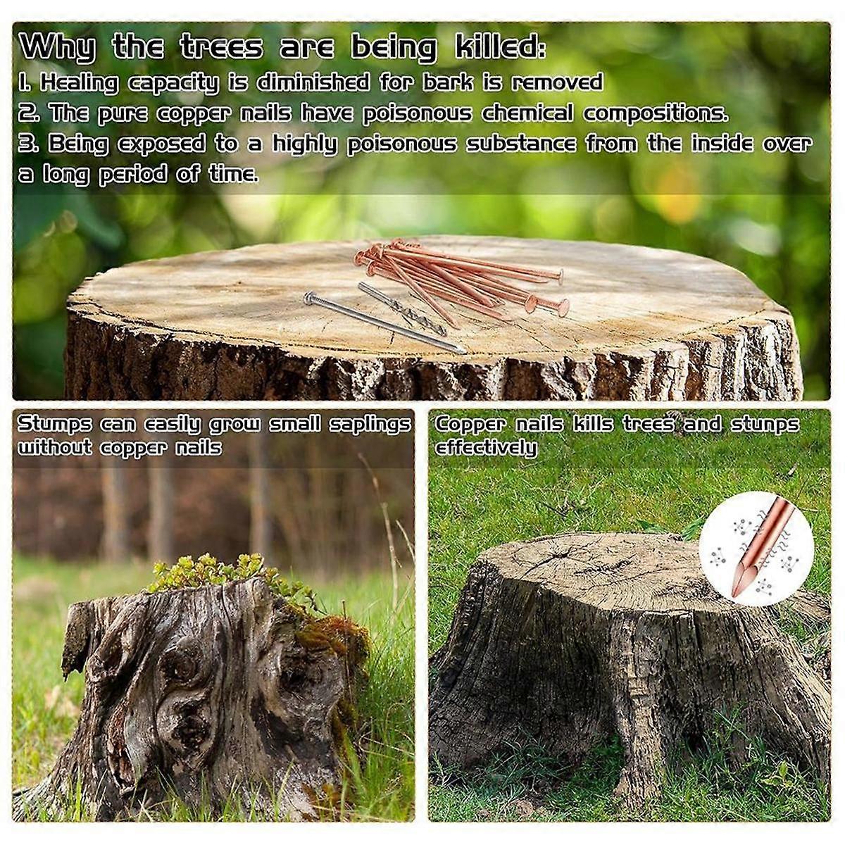 40 Pcs Copper Nails to Killing Trees,3.5 Inch Pure Copper Nails Bulk ...