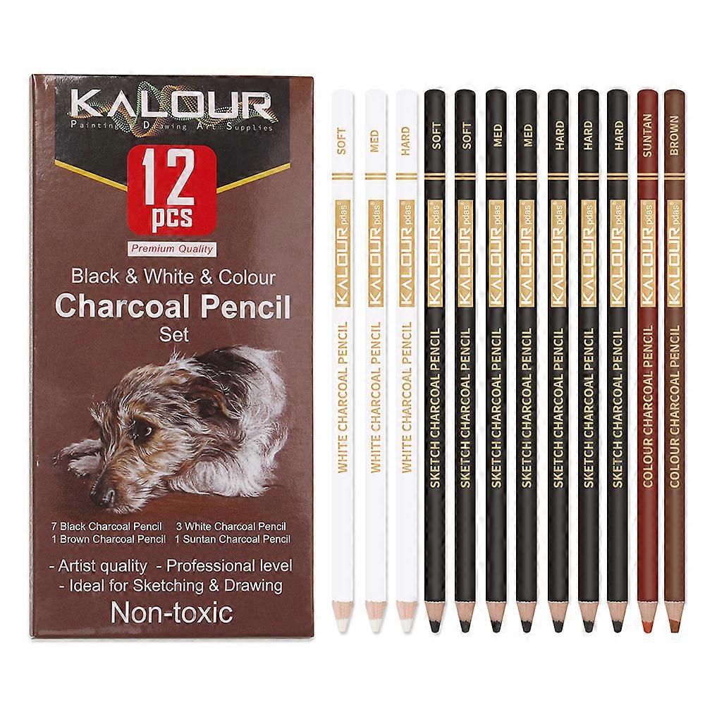 Kalour Carbon Pen Professional Highlight White Carbon/Black Carbon ...