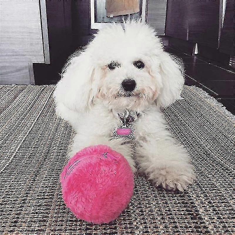 Magic Rolling Ball Activation Automatic Ball Electric Dog Cat Toy ...