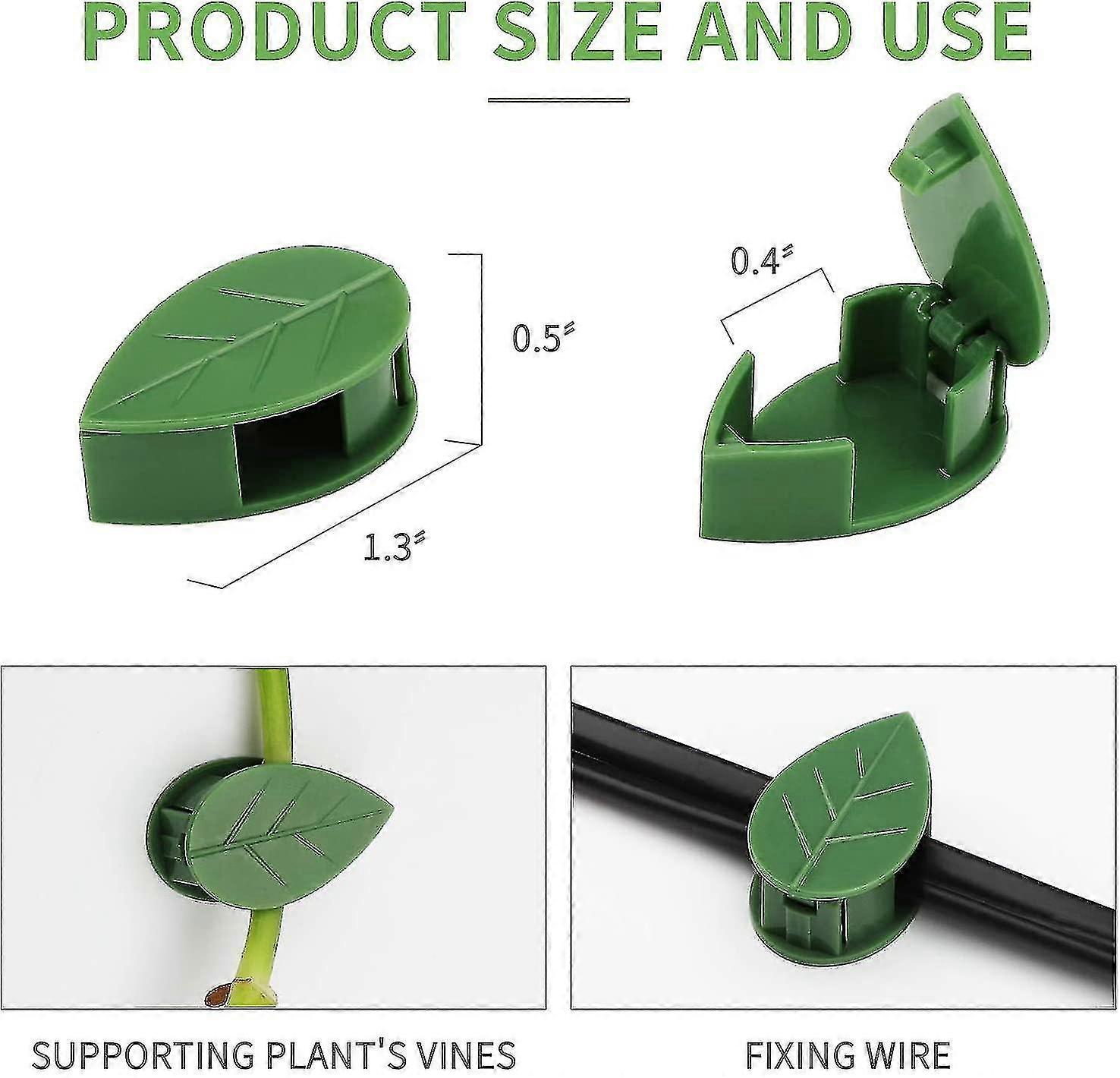 50pcs Plant Climbing Wall Fixture Clips, Invisible Self-adhesive ...