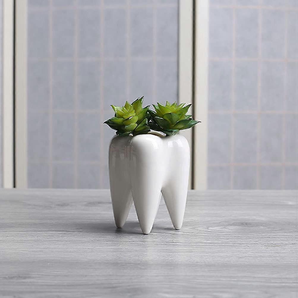 2Pcs Cute Tooth Shaped Ceramic Flower Pot Succulent Planter Pot Bonsai ...