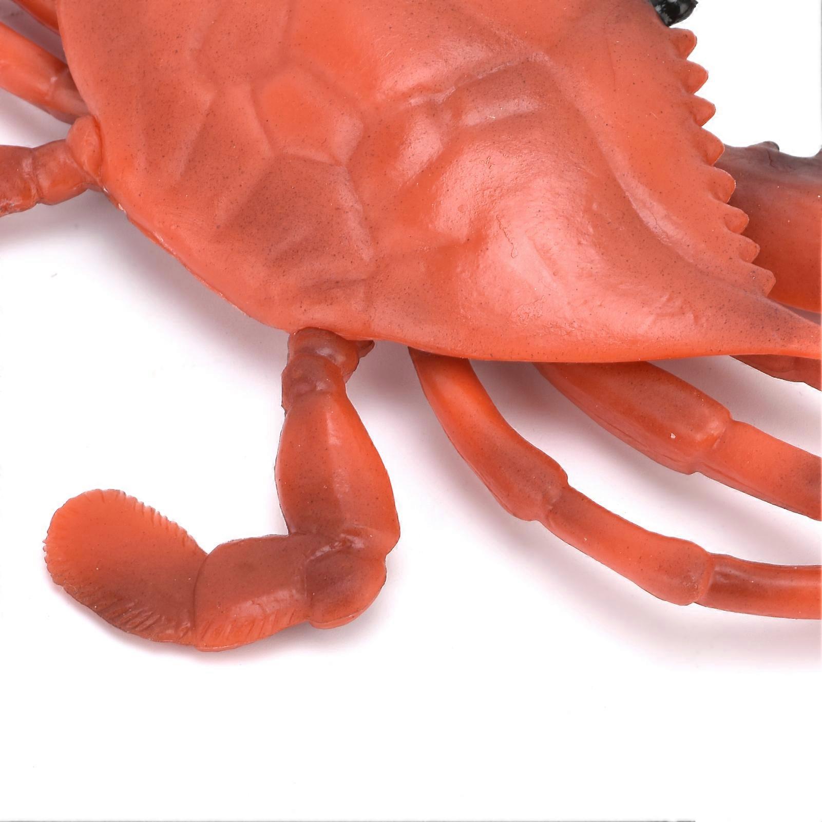 Realistic Marine Animal Crab Model Simulated Plastic Crab Kid's ...