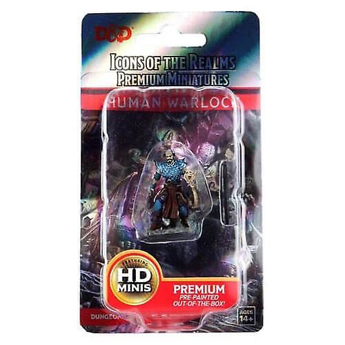 Dungeons & Dragons Premium Human Warlock Male Miniature | Fruugo SE