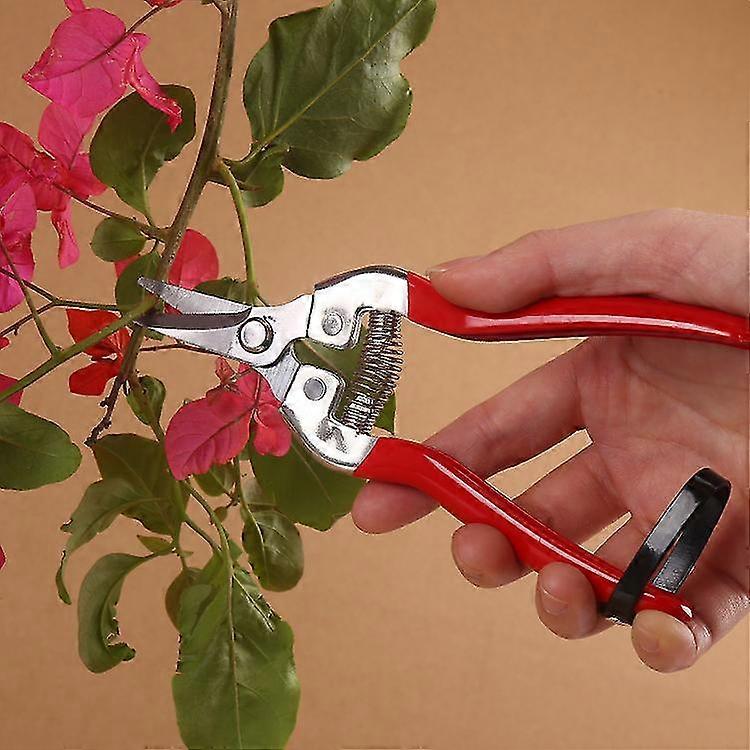 Professional Micro-tip Pruning Snip , Small Garden Hand Pruner & Shears ...