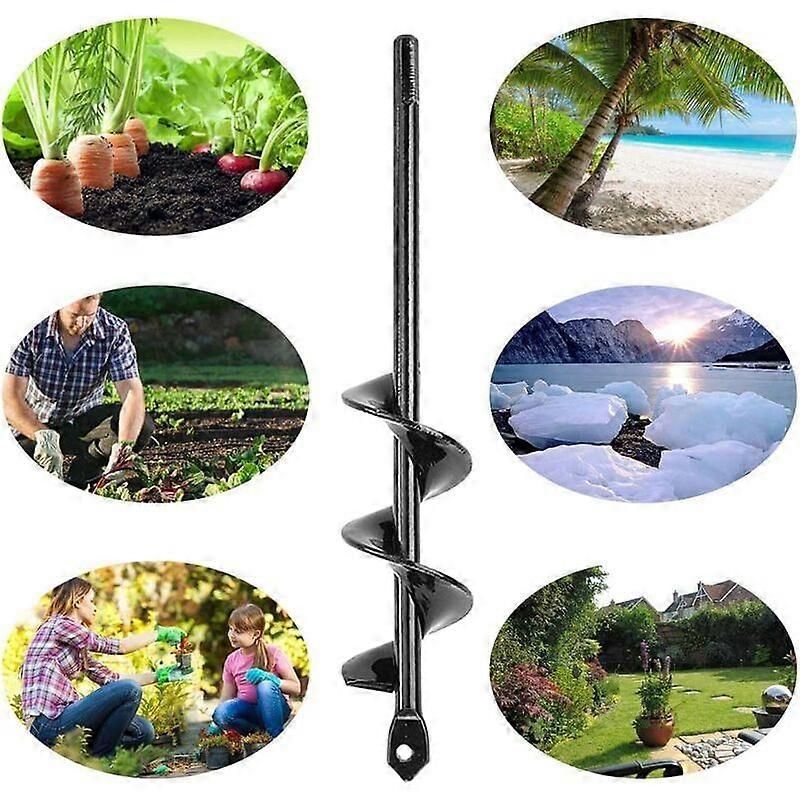 Mches pour tarire, antidrapantes, pour plantes en spirale, plantes de ...