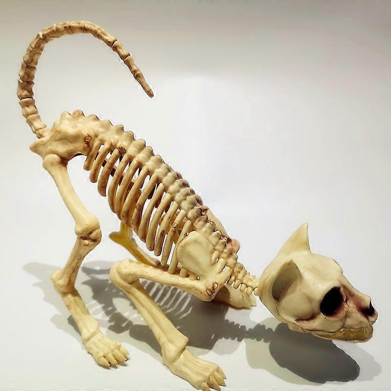 Crouching Cat Skeleton Cat Skull Model Creepy Scary Animal Bones ...