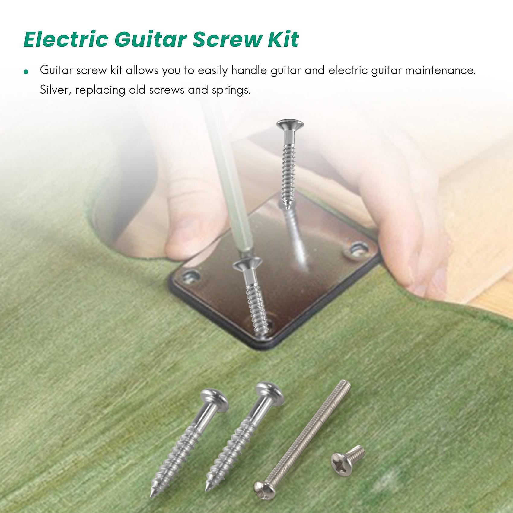 204 Pcs Guitar Screw Kit 9 Types Assortment Set With Springs For ...