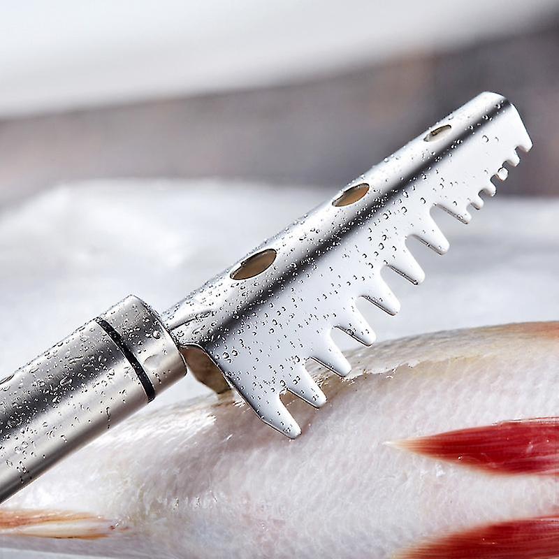 Fish Scale Remover, Fish Scale Scraper With 304 Stainless Steel Serrations For Quick Descaling ...
