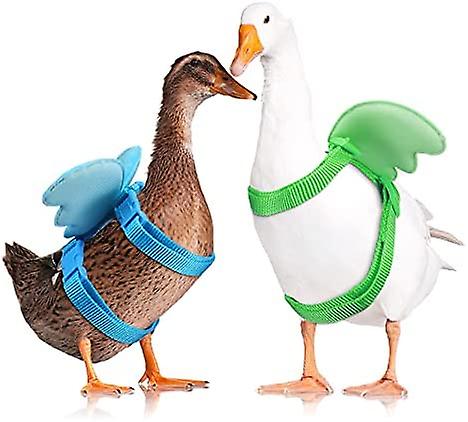YOITEA 4 Pieces Pet Duck Outside Walking Harness Leash, Hen Chickens ...