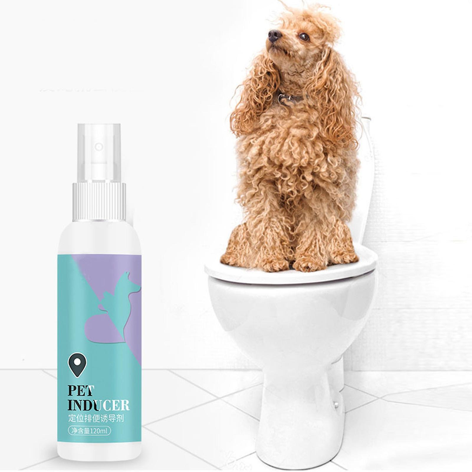 Pet Potty Training Spray Safe Mild Potty Training Aid Spray for Dogs ...