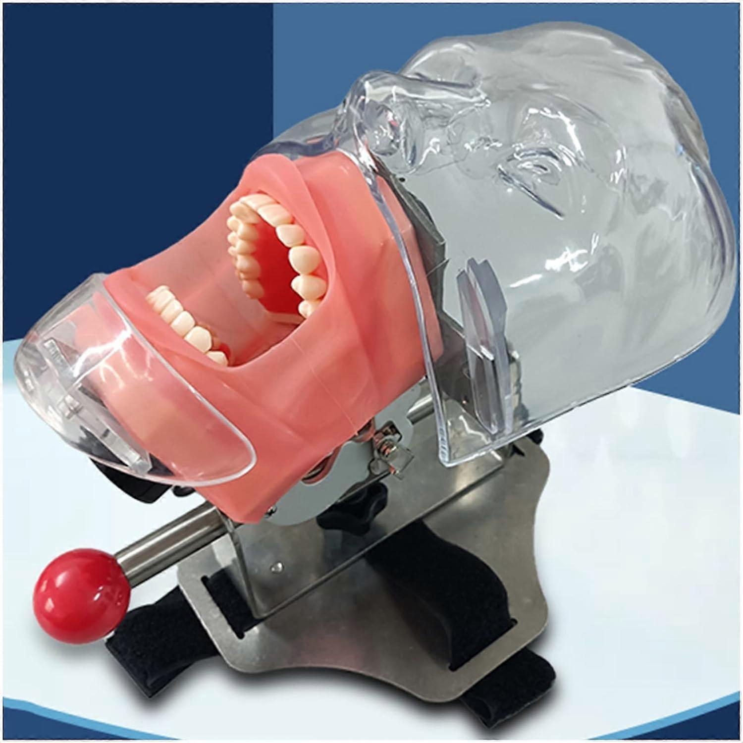 Single head mold for dental simulation - simple dental dummy ...