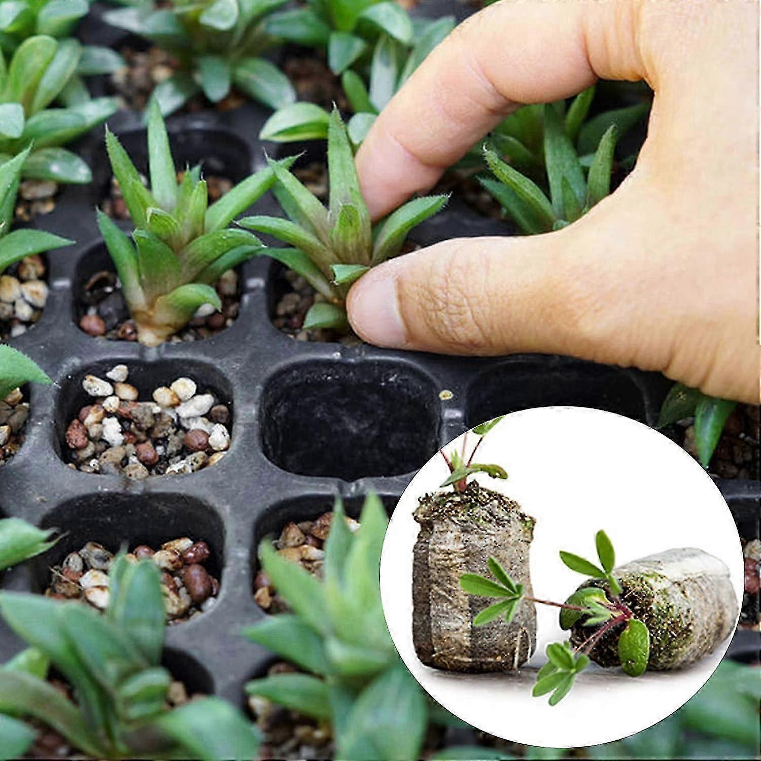 120Pcs 30mm Peat Pellet Soil Plant Plugs Pallet Seedling Soil Block ...