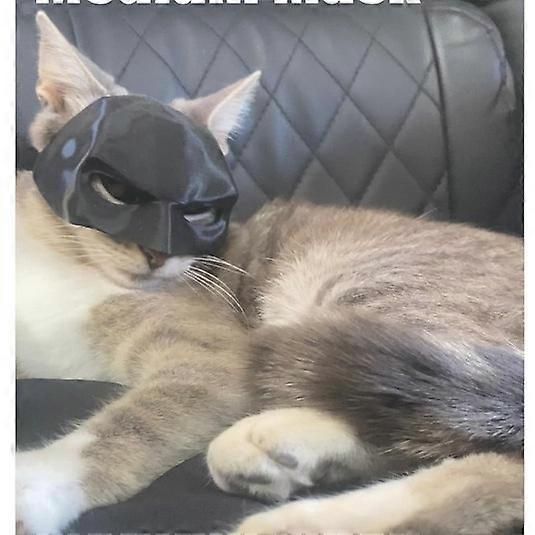 Cat Bat Mask, Cat Bat Cosplay Hat, Bat Mask for Cat, Bat Cat Avenger ...
