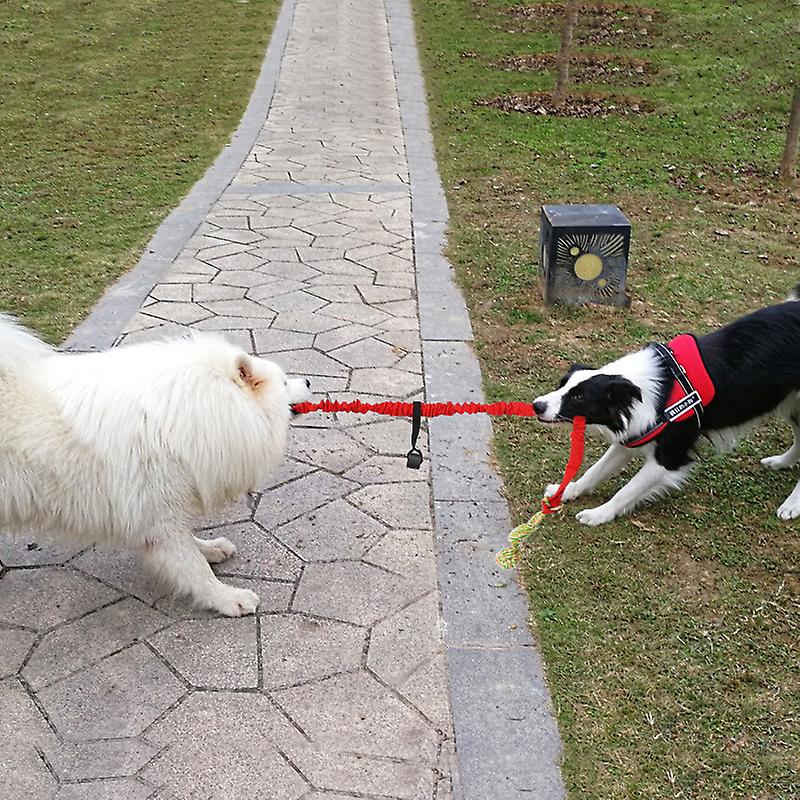 Outdoor Indoor Dog Teeth Sharpening Teeth Cleaning Bite Rope Toys ...
