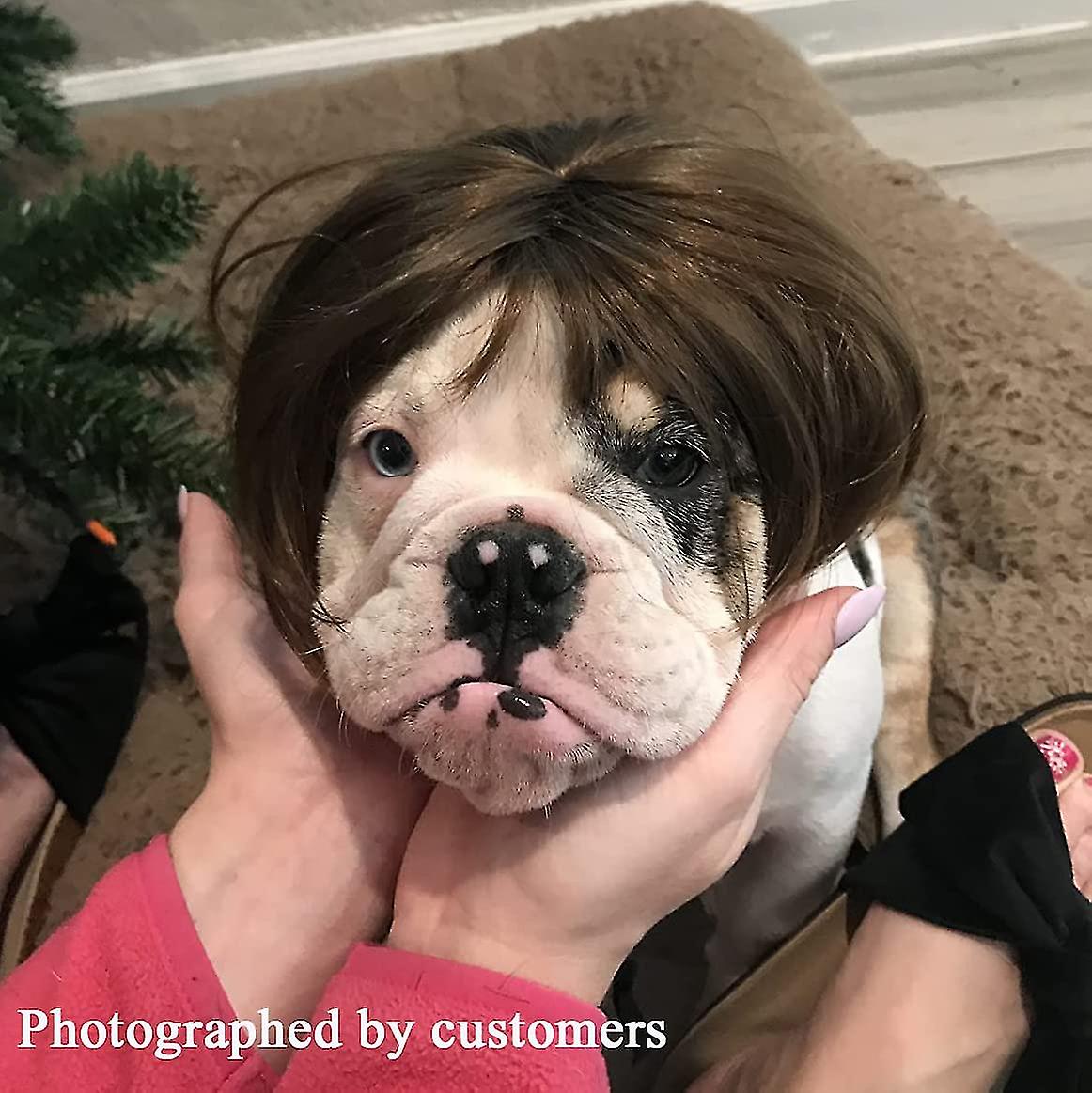 Dog Cospaly Wig For Small Dogs Dress Up For Halloween Dog Wigs For ...
