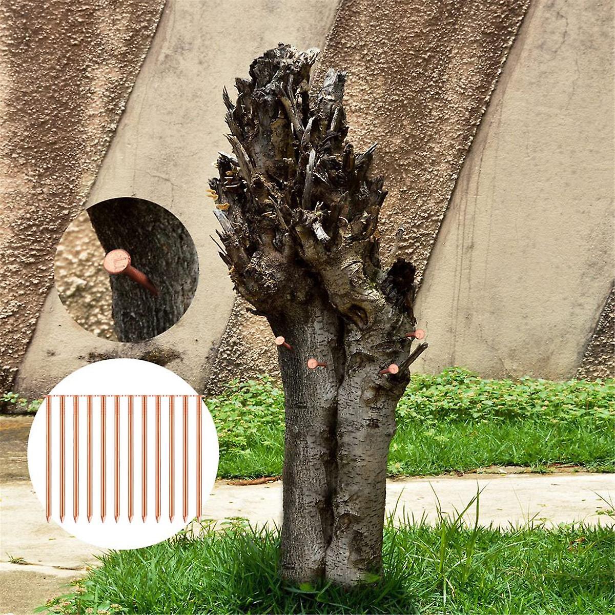 20 Pcs Copper Nails for Killing Trees, Stumps & - 3.5 Inch Long Come ...