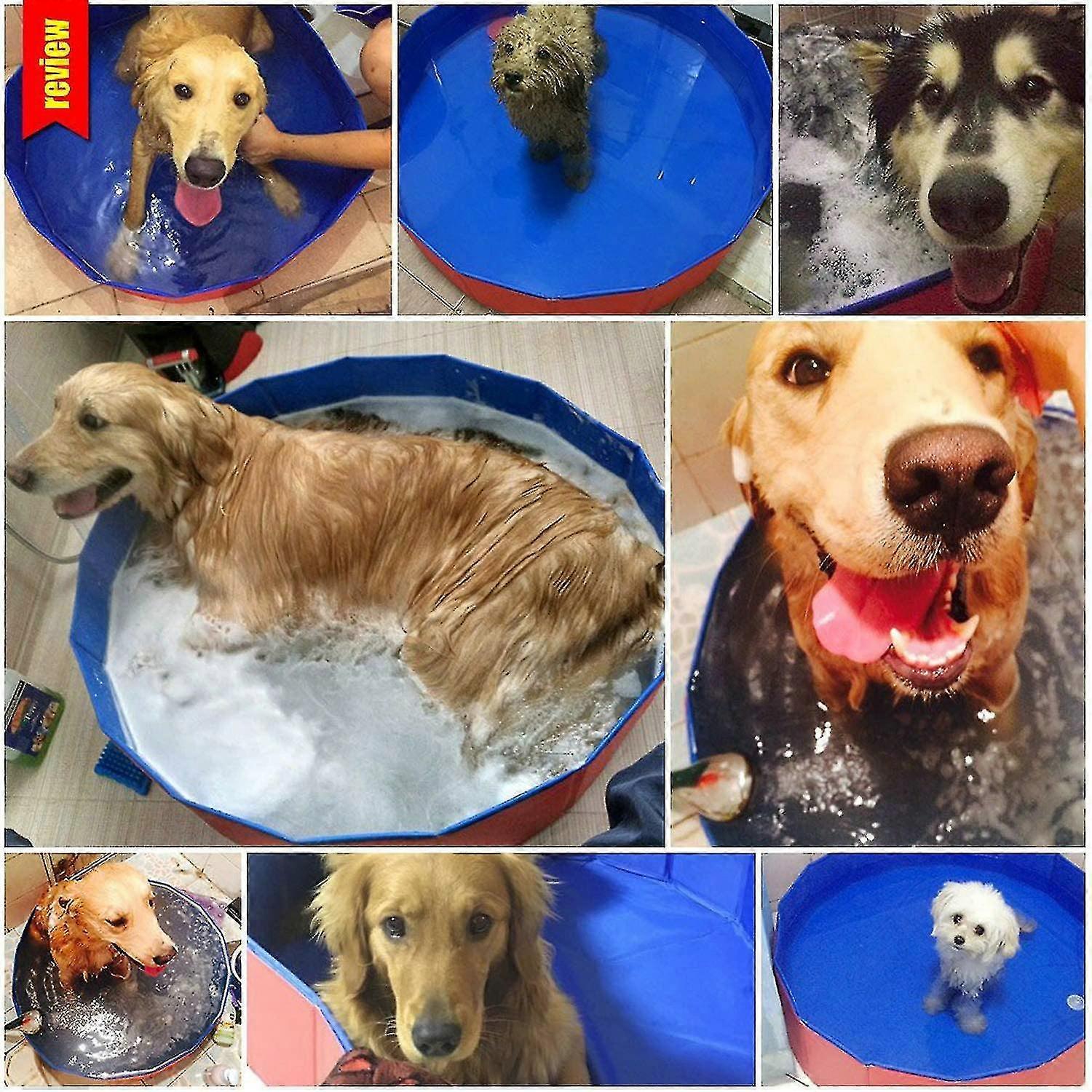 Foldable Dog Pool, Bath Shower Basin Dog / Cat / Animal Play Outdoor ...