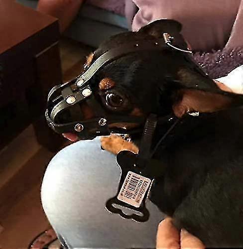 Light Leather Dog Muzzle For Chihuahua Yorkshire Terrier Mini Pitcher ...