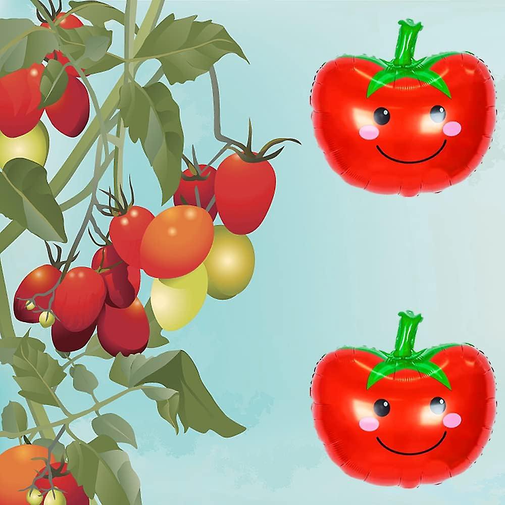 Tomato Balloons Vegetables Tomato Foil Mylar Balloons For Baby Shower ...