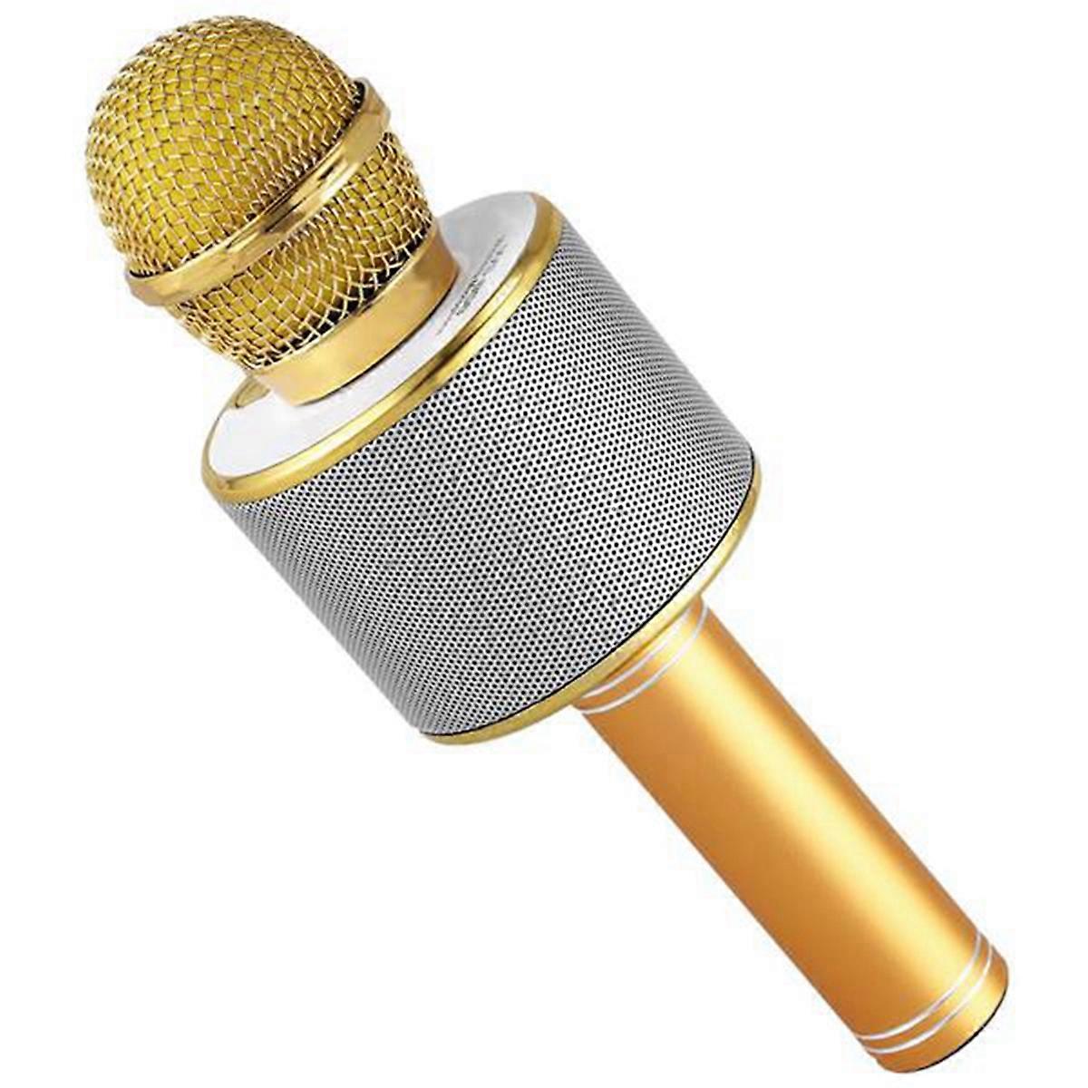 Ws858 Professional Handheld Wireless USB Speaker Microphone for Kids ...