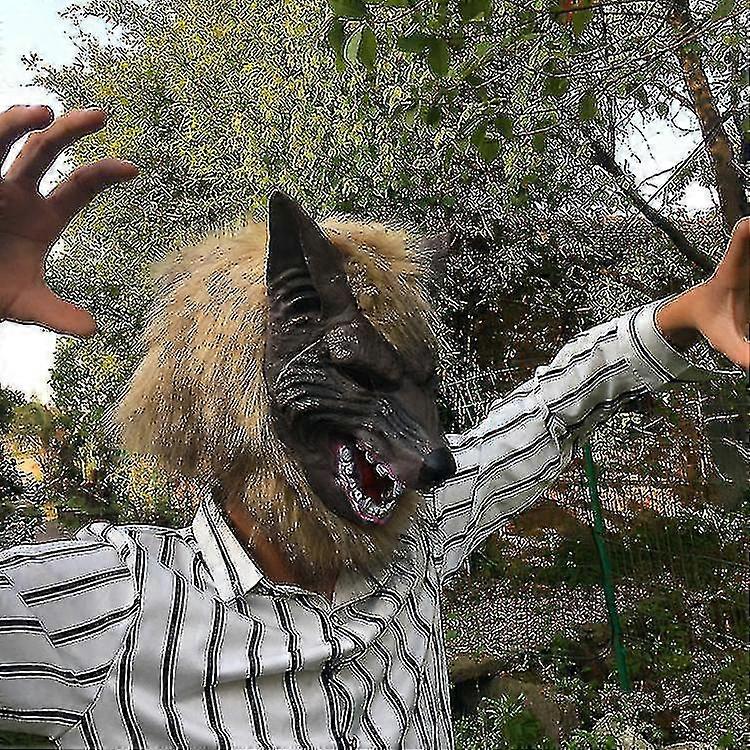 Werewolf Costume Wolf Claws Gloves And Head Mask For Halloween, Cosplay ...