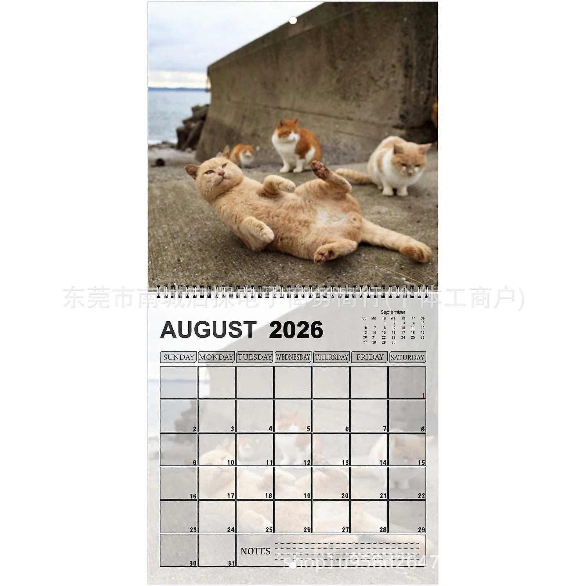 Cat Butthole Calendar 2026, Cat Balls Calendar Funny Cat Butthole ...