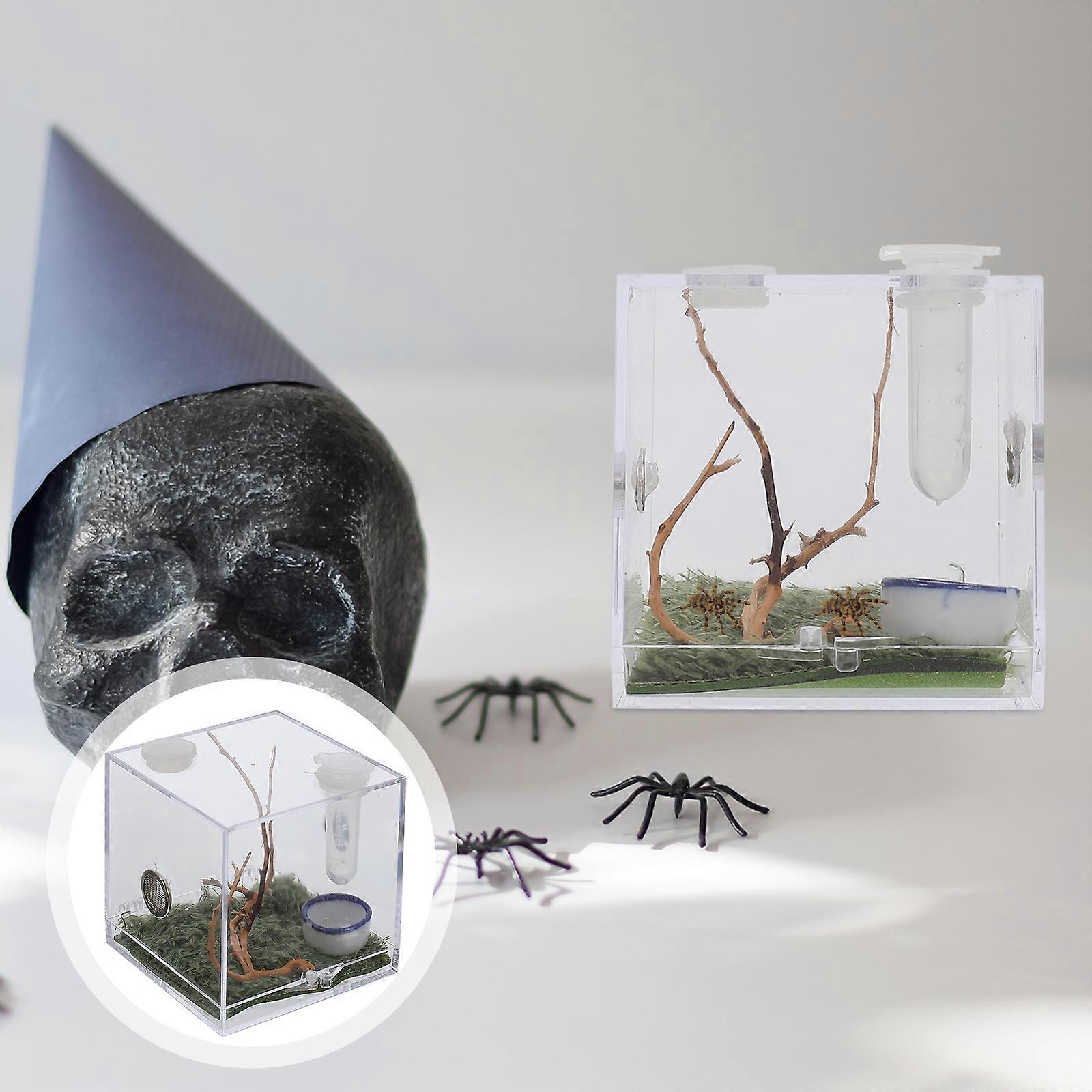 2pcs Clear Spider Enclosure Box Jumping Spider Habitat Box Acrylic ...
