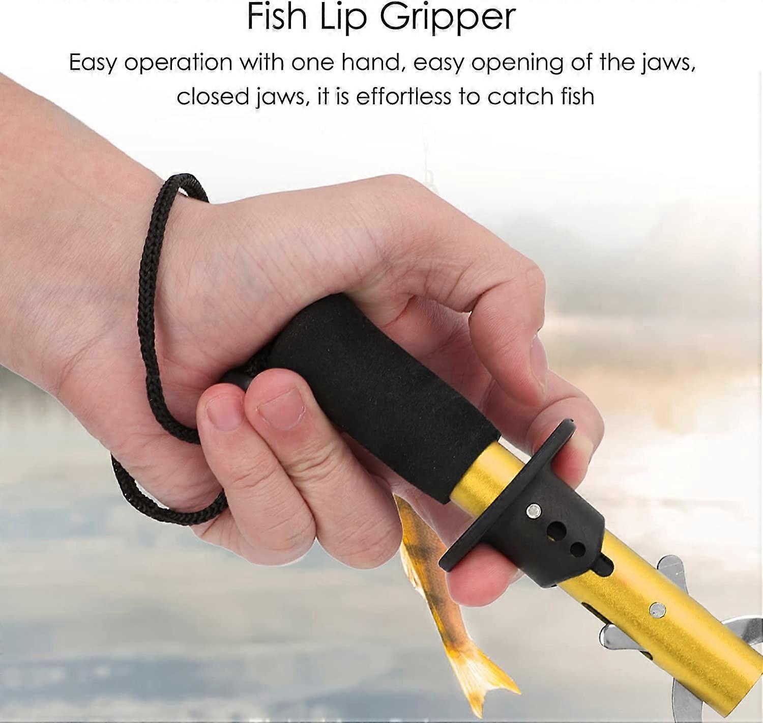 Fish Gripper,Stainless Steel Fish Lip Grabber,Fish Grabber with Wrist ...