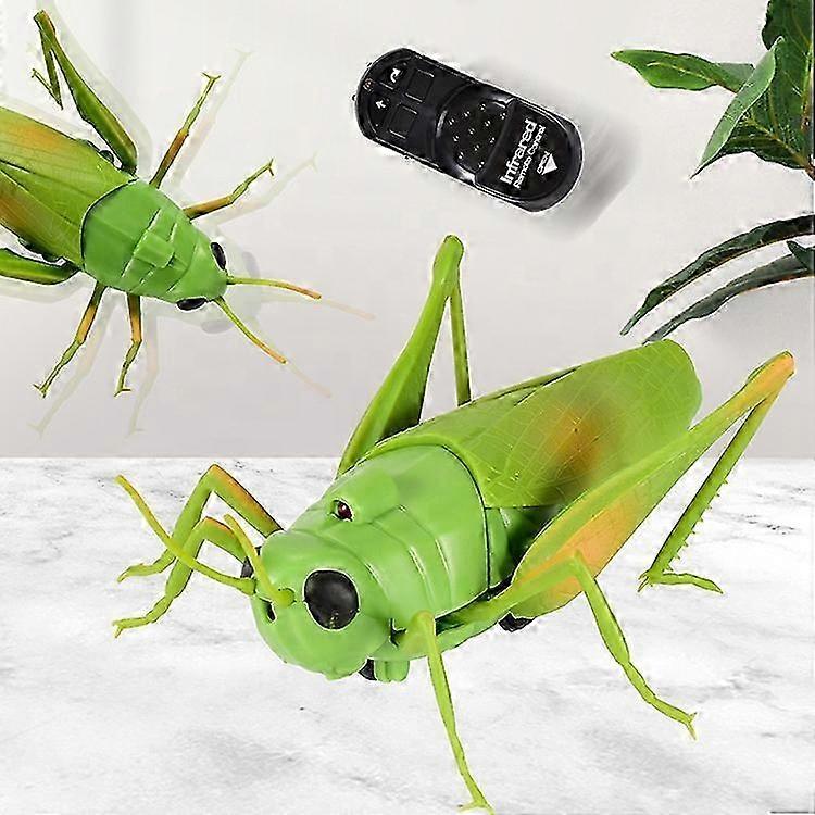 Simulation Insect Infrared Remote Control Animal Toy RC Scorpion Spider ...