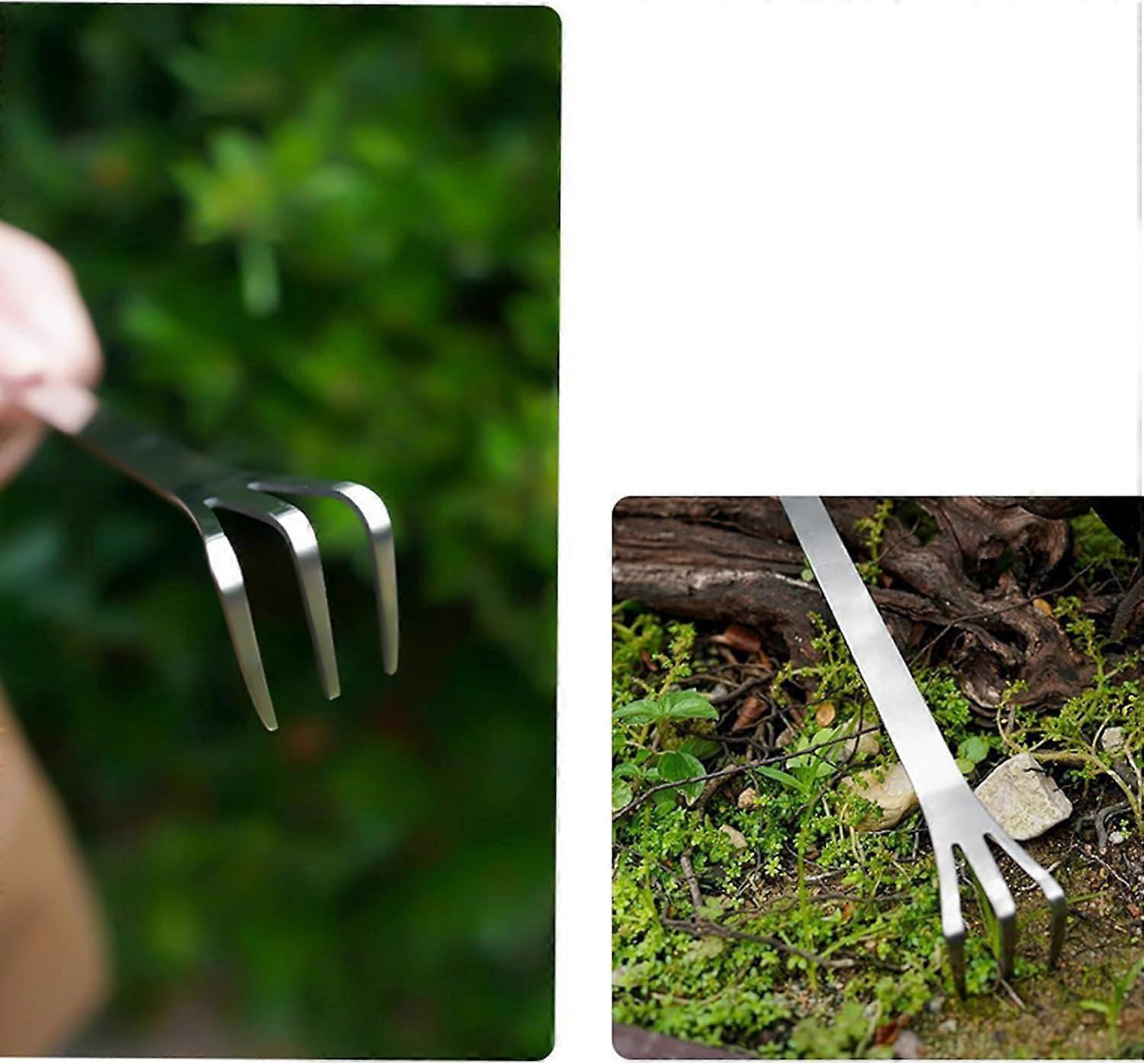 Bonsai Rake Stainless Steel Small Hand Rake with Ergonomic Handle for ...