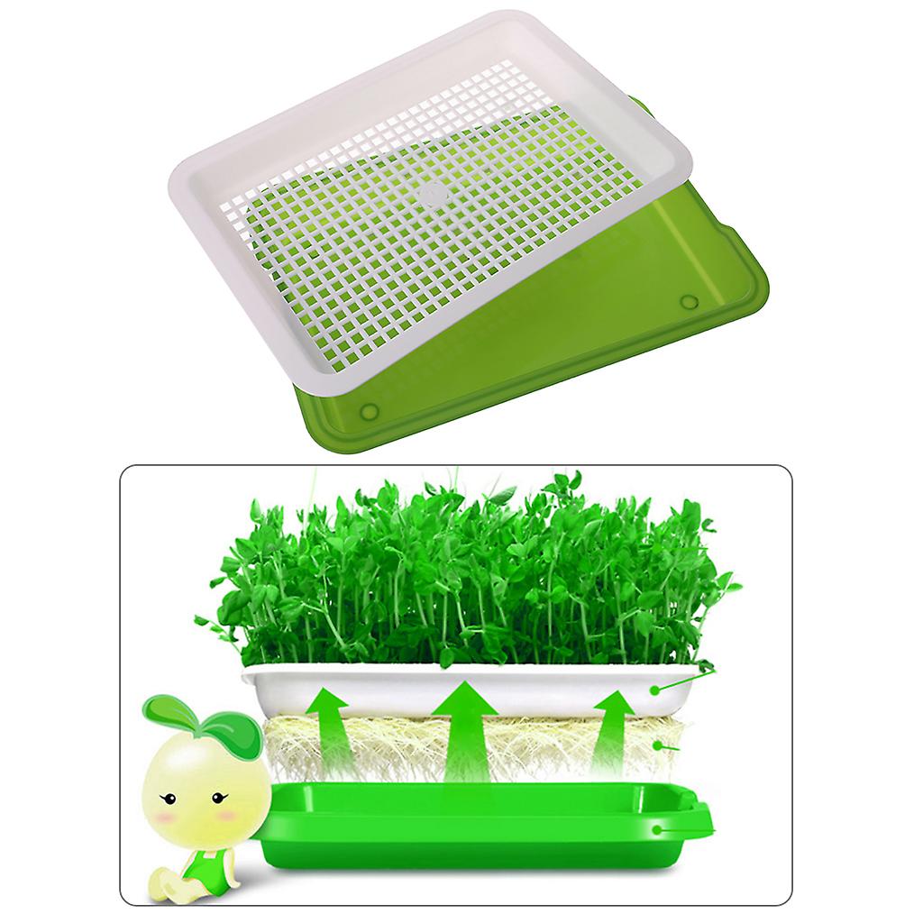 Hydroponics Seedling Tray Sprout Plate Hydroponics System Nursery Pots ...