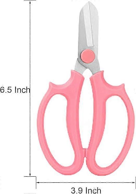 Flower Scissors 2 Pcs - Stainless Steel Floral Scissors, Flower Cutters ...