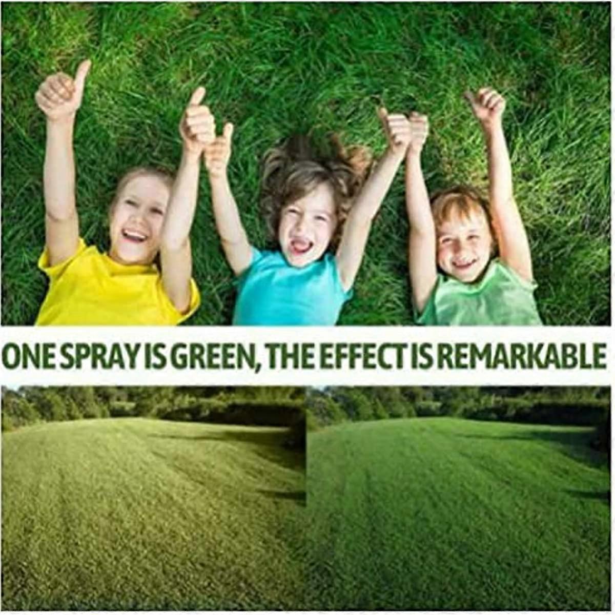 New Upgraded Sprayer s Green Grass Paint - Lawn Paint Lawn Colorant ...